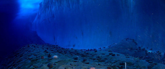 Les Abysses - Alchetron, The Free Social Encyclopedia