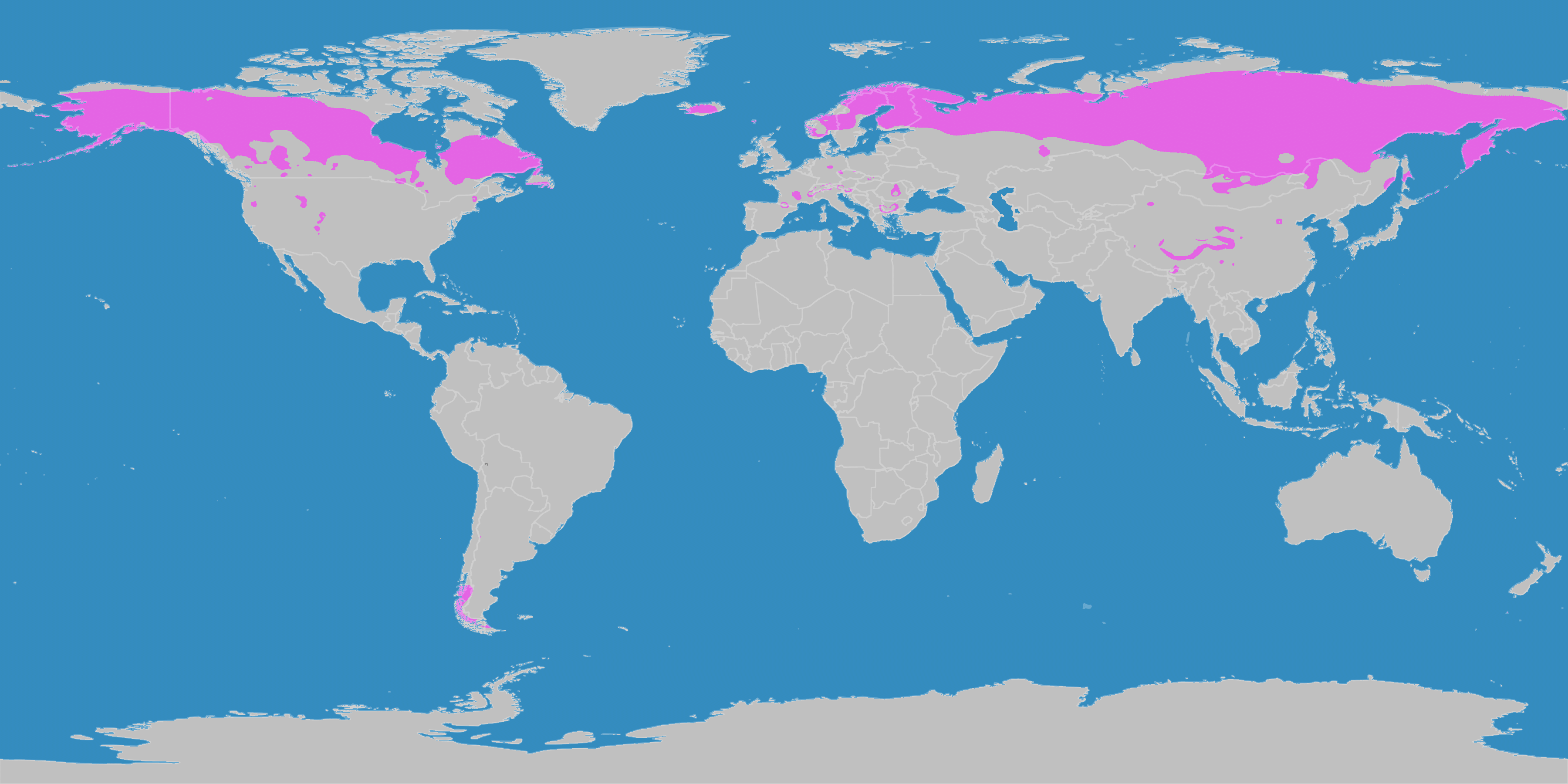 La zone boréale ≡ Voyage - Carte - Plan