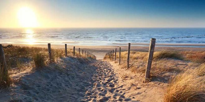 Paysage des Landes » Vacances - Arts- Guides Voyages