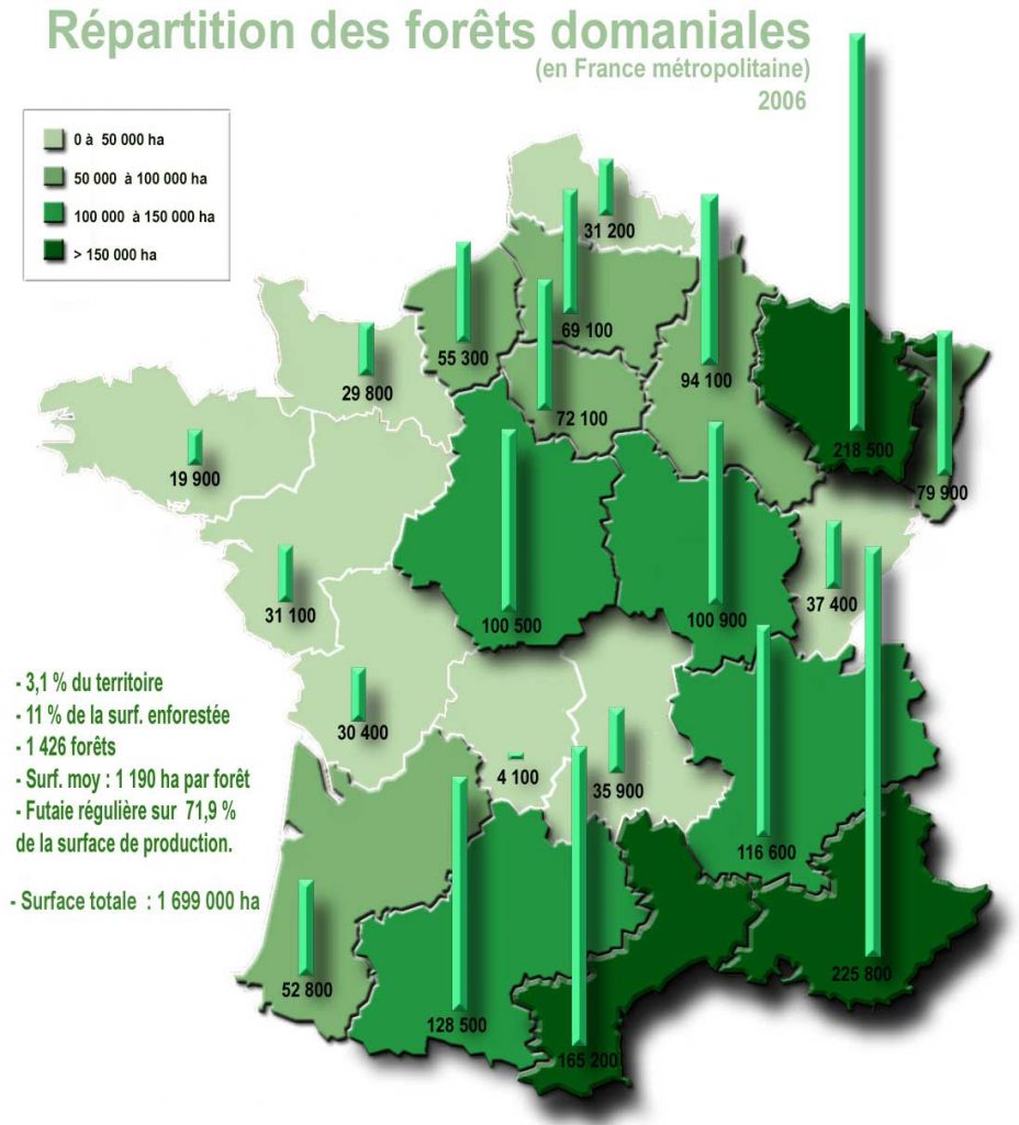 Vacances - Forêt de France » Vacances - Guide Voyage