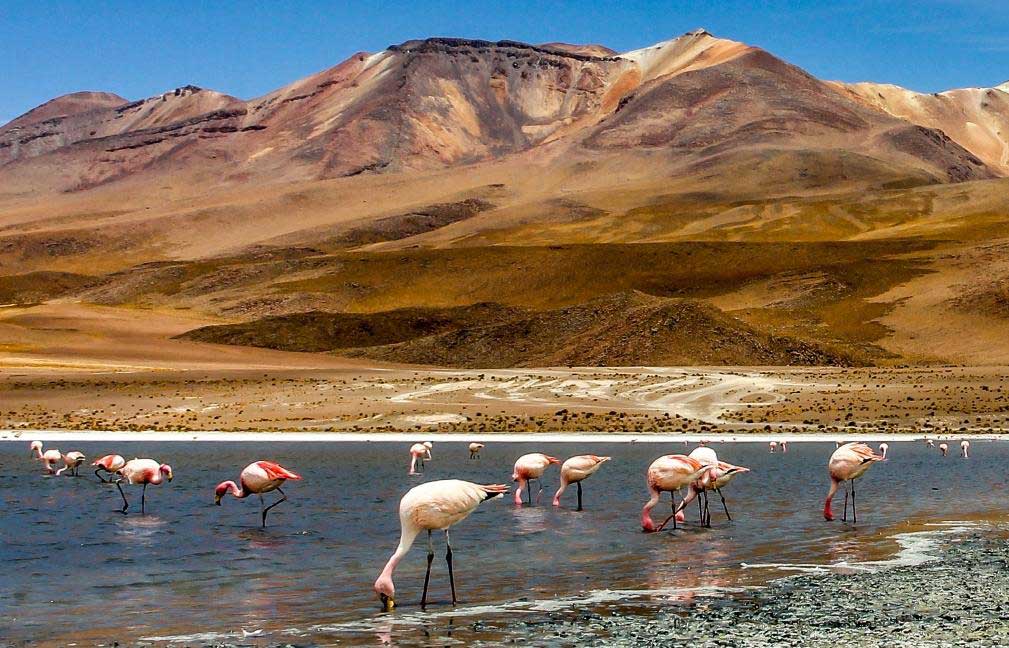 La Bolivie ≡ Voyage - Carte - Plan