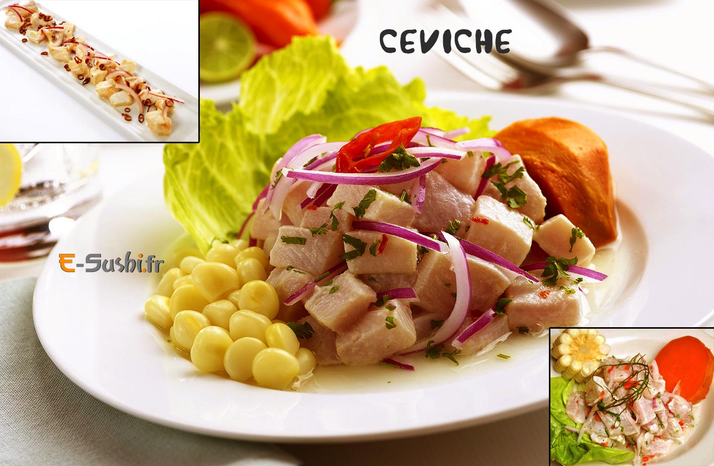 Ceviche : plat péruvien ≡ Voyage - Carte - Plan