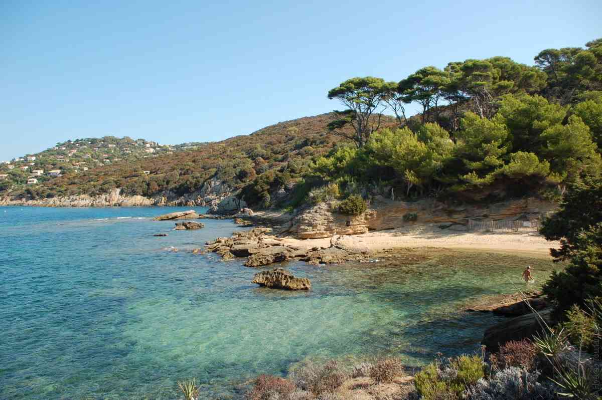 Ile du Levant ≡ Voyage - Carte - Plan