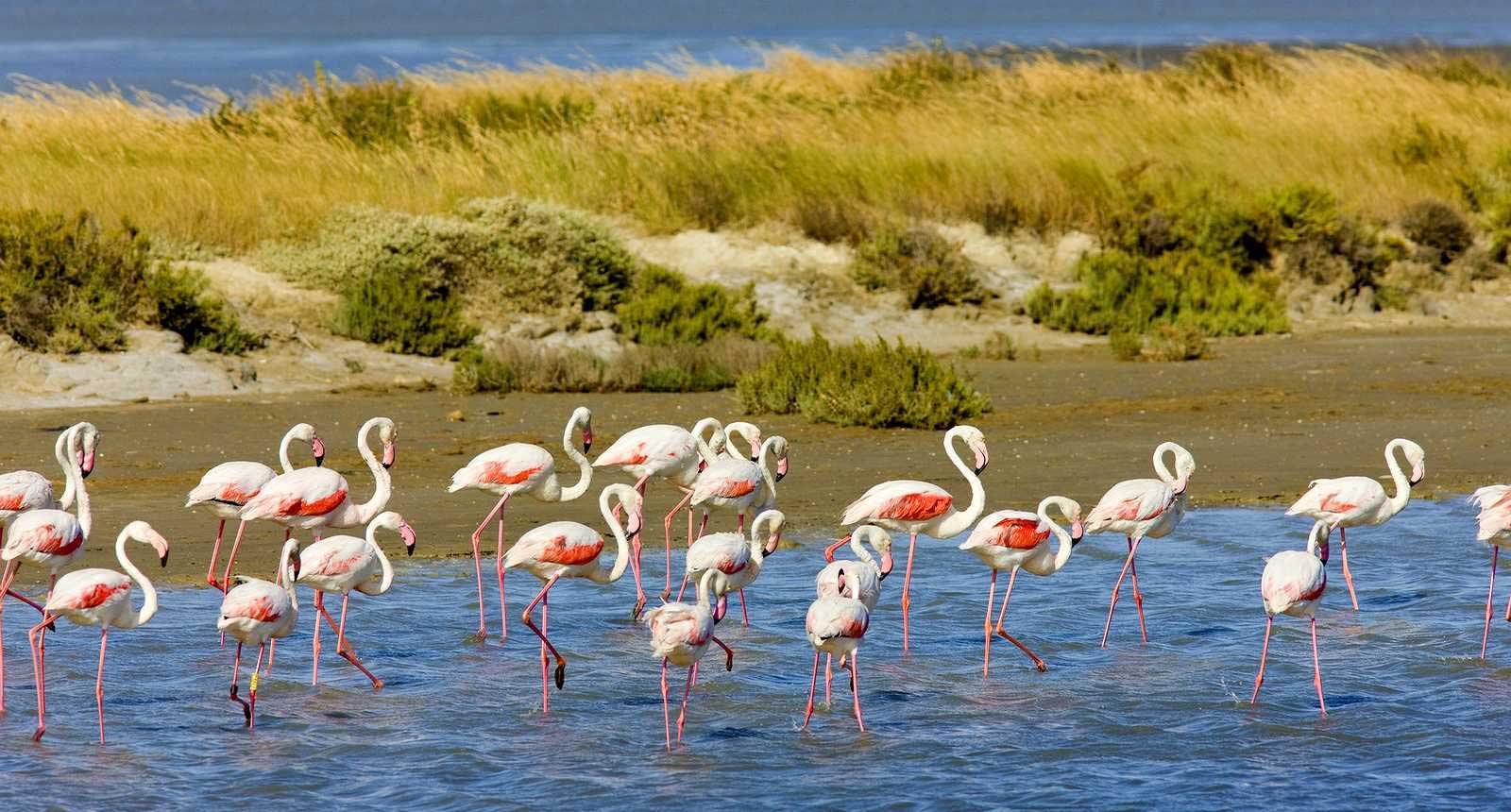 La Camargue ≡ Voyage - Carte - Plan